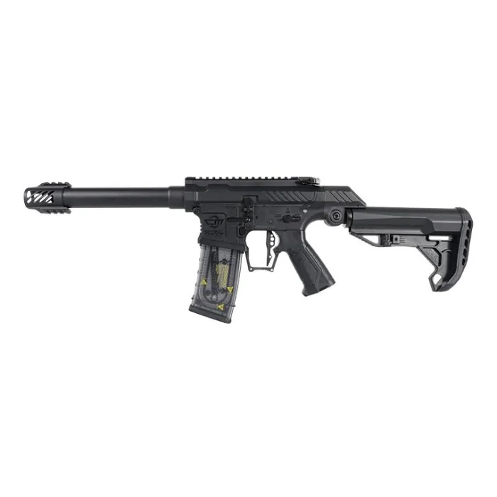 Assault rifle SSG-1 G&G